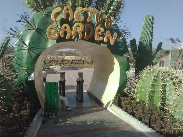 Statue of Unity – Bus service | Ogale Learning Centre